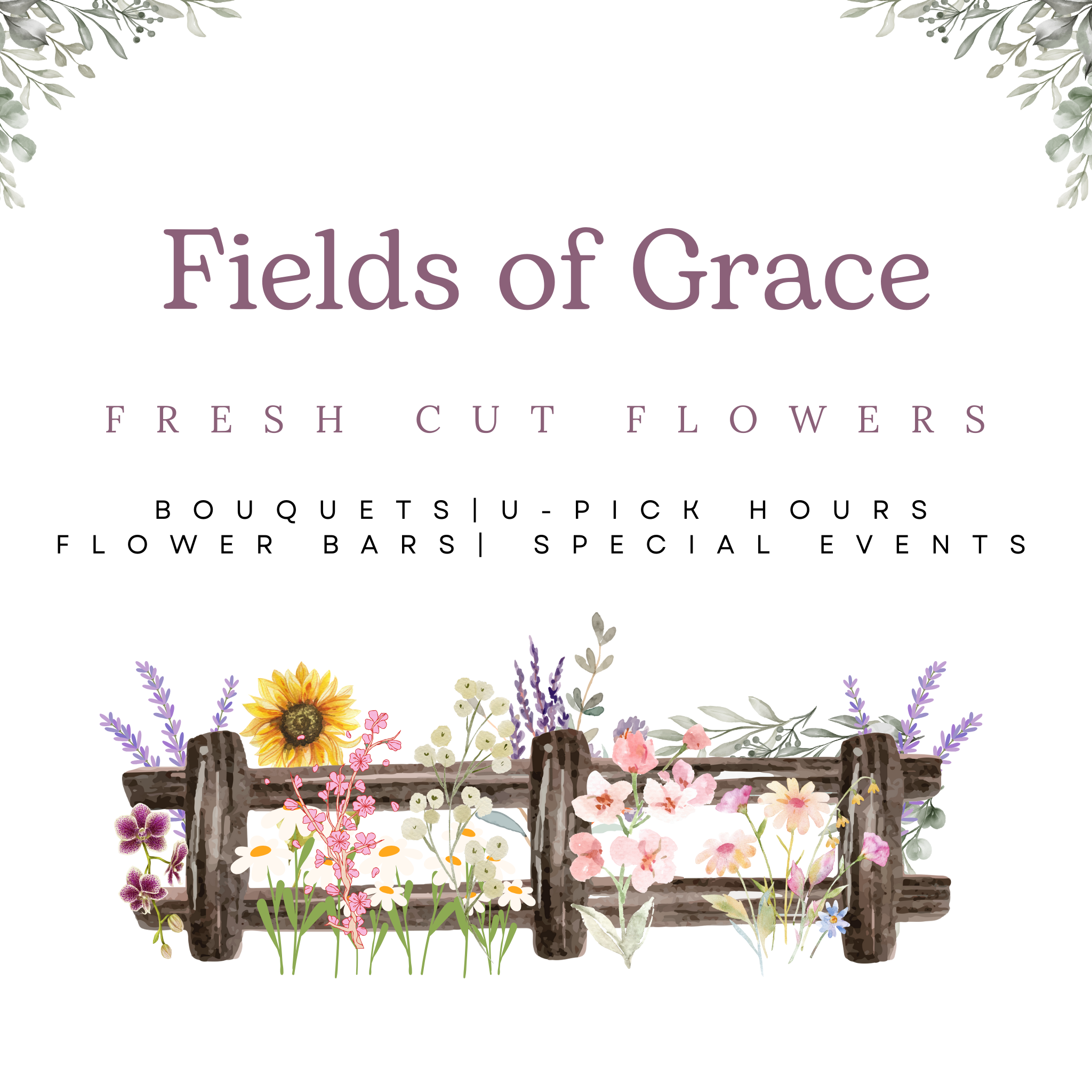 Home | Fields of Grace, LLC